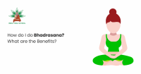 How do I do Bhadrasana? What are the Benefits? - India Yoga School